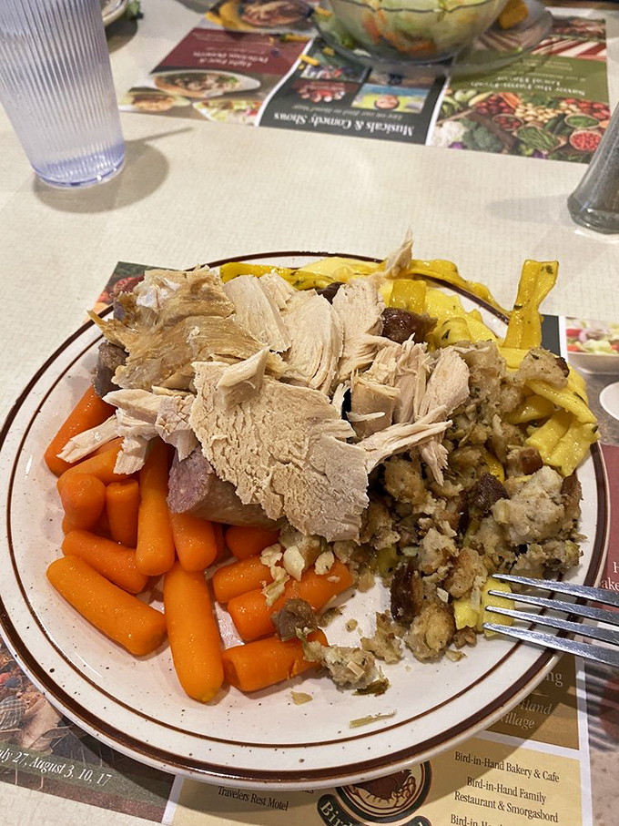 Turkey, stuffing, and carrots sharing a plate like old friends at a reunion. The fork is just waiting to join the party.