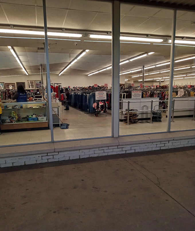 Through these windows lies a world where yesterday's castoffs become tomorrow's conversation pieces. The thrill of the hunt begins here.