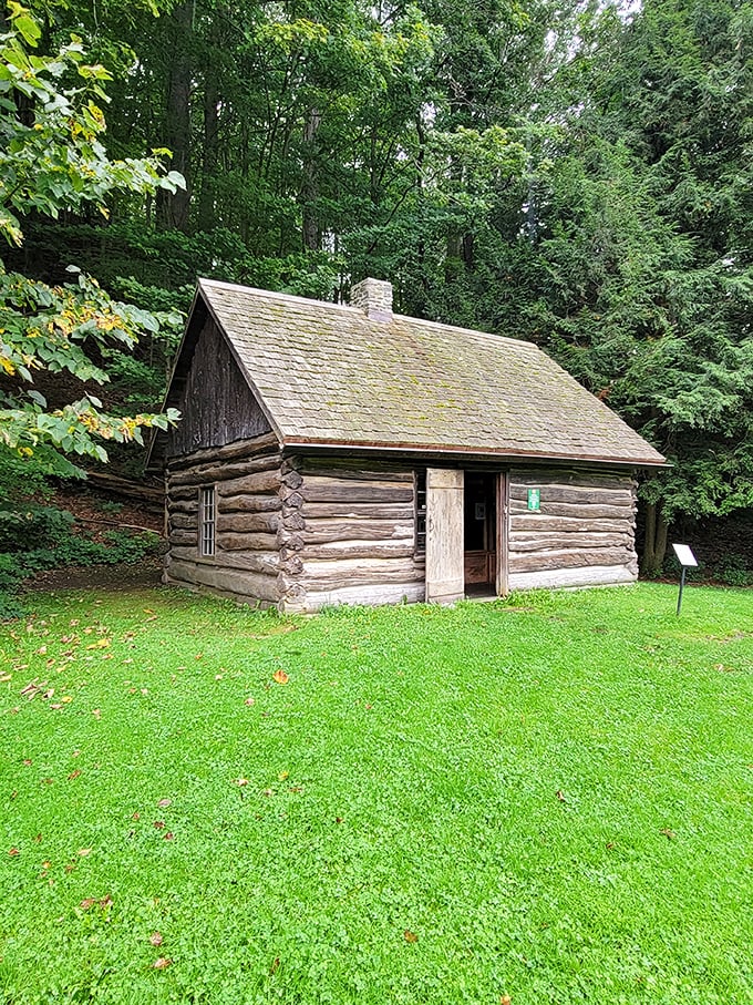 Millard Fillmore's replica log cabin stands as a humble reminder that even presidents start somewhere. No marble columns, just honest timber.