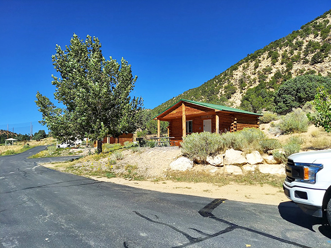 Rustic cabins that strike the perfect balance between "roughing it" and "I still need a proper roof." Mountain backdrop comes standard.