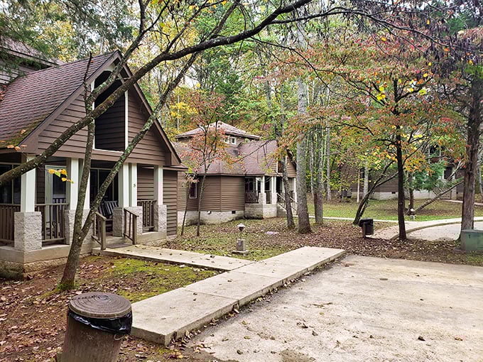 These cozy cabins nestled among autumn trees offer the perfect compromise between roughing it and actual comfort.