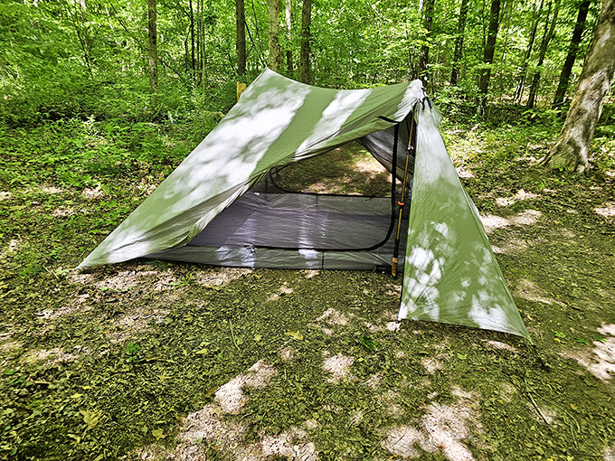 The ultimate room with a view &ndash; a simple tent nestled among dappled sunlight and endless green. Five million stars, guaranteed.