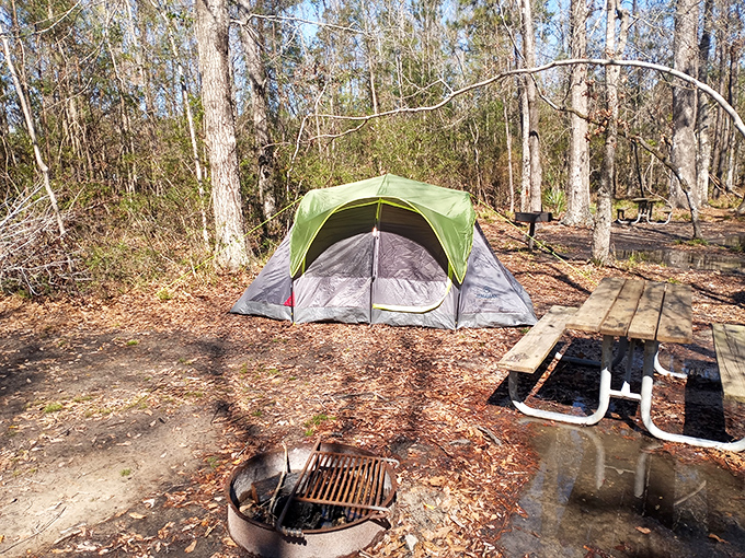 Camping simplified: just you, a tent, and a million stars overhead. No emails can find you here.