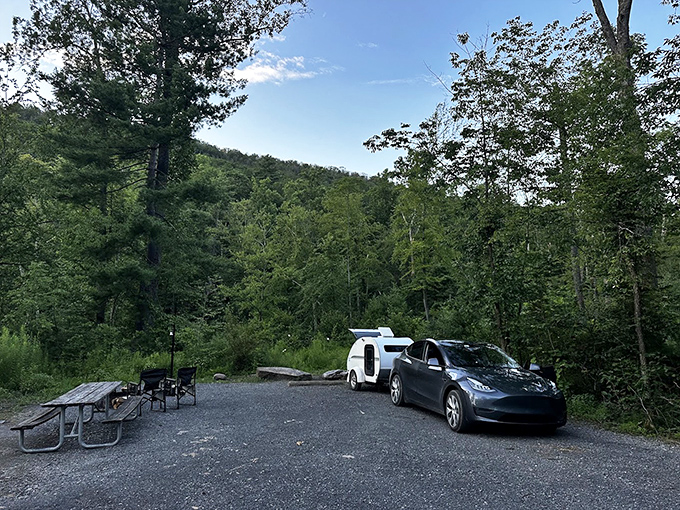 Camping simplified: a picnic table, fire ring, and endless trees. Add marshmallows and ghost stories for the complete experience.