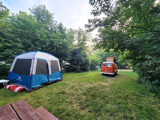 Camping nirvana: Where vintage VW vans and modern tents create the perfect basecamp for Wisconsin woodland adventures just steps from civilization.