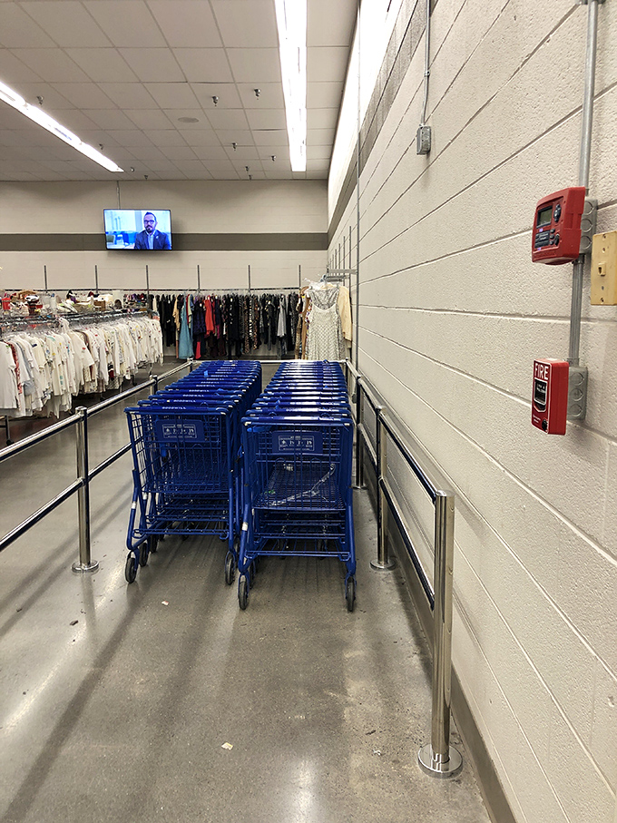 Blue carts wait patiently, like taxis at an airport, ready to transport your newfound treasures.
