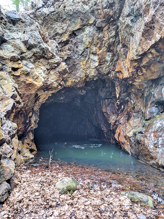 The entrance to Narnia? This mysterious cave opening beckons explorers with its cool, emerald waters and ancient stone embrace.