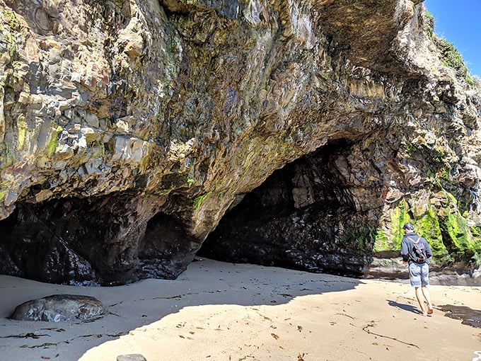 Mother Nature's beachfront cathedral awaits exploration. Step inside and experience the reverent hush that even the most talkative visitors respect.