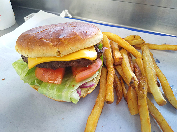 The classic cheeseburger and fries combo proves Novi's isn't a one-trick pony. Simple perfection doesn't need fancy introductions.