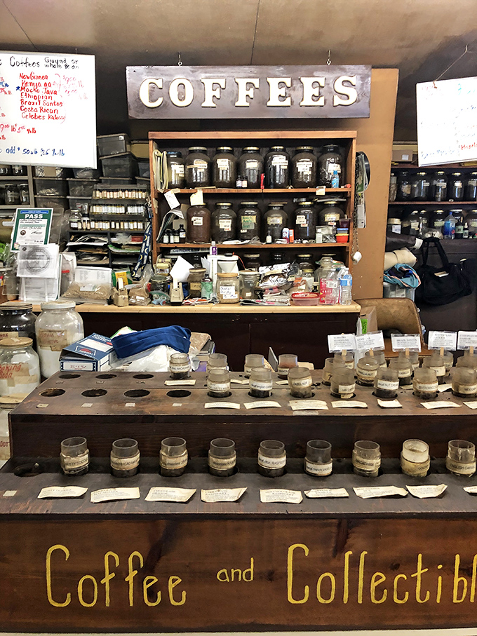 Coffee beans and curiosities coexist beautifully. This vintage display would make any hipster caf&eacute; owner weep with jealousy and inspiration.