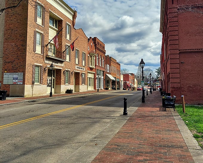 Classic cars line up like well-dressed guests at a reunion, showing off Rogersville's appreciation for things that get better with time.