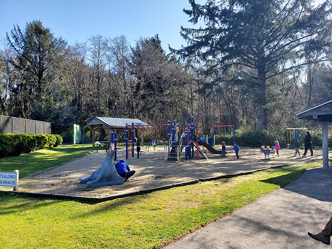 Even paradise needs a playground. Manzanita's community park offers swings with a side of towering evergreens&mdash;childhood memories in the making.