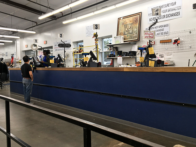 The blue counter serves as mission control for this universe of secondhand treasures, where transactions are just the final chapter of the hunt.