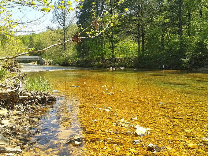 Mother Nature's infinity pool. This crystal-clear creek bed showcases the Ozarks' geological jewelry collection.
