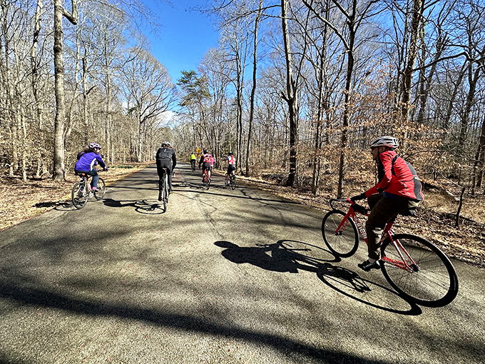 Winter cyclists claim the trails when summer crowds retreat, proving that some outdoor enthusiasts don't hibernate&mdash;they just add another layer.