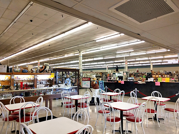 Even treasure hunters need to refuel. This charming café area offers the perfect spot to contemplate whether you really need that third vintage lunchbox.