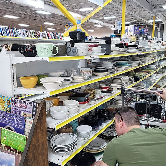 Plates, bowls, and mugs line up like contestants in a beauty pageant, each one hoping to be crowned "Most Likely to Hold Your Morning Coffee" or "Best Supporting Dinnerware."