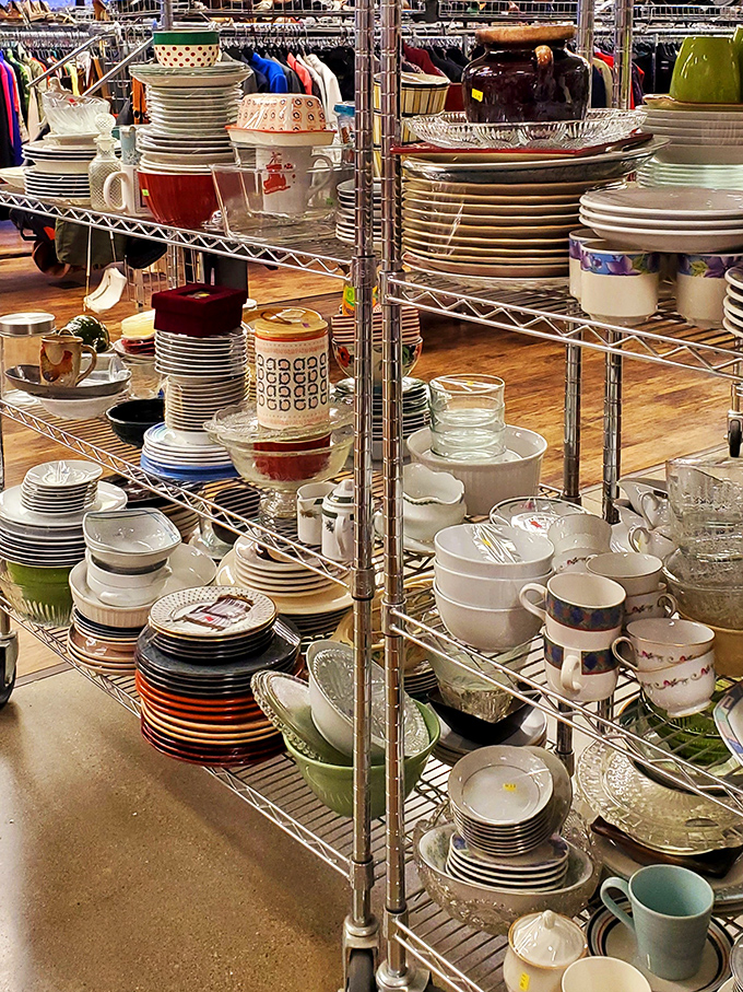 Dishes upon dishes upon dishes&mdash;enough place settings to host a royal banquet or replace that mug your spouse "accidentally" broke during an argument.