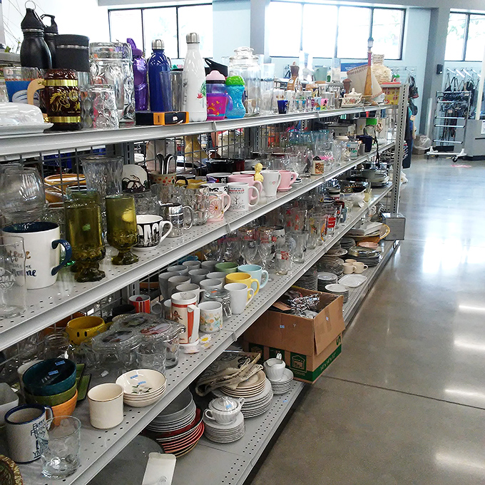 Dishes and glassware sparkle under the lights, ready to host your next dinner party in style.