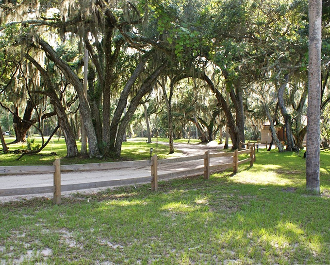 Nature's cathedral of live oaks creates a dappled sunlight canopy over trails that beckon explorers of all ages.