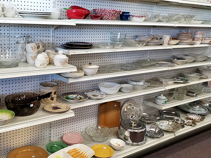 Grandma's china cabinet exploded, and it's glorious. Each plate and bowl carries the ghosts of Sunday dinners and holiday feasts past.