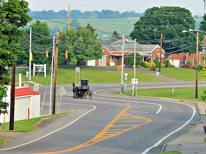 Rush hour in Walnut Creek means yielding to a horse and buggy. The only traffic jam you'll actually enjoy being stuck in.