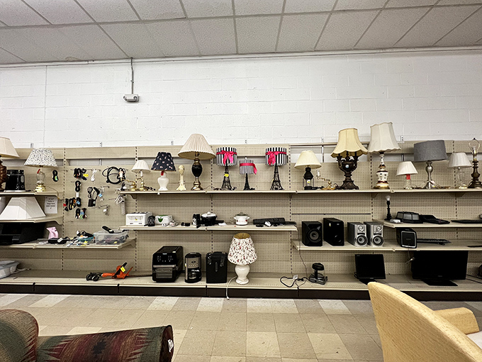 The lamp section: where lighting fixtures from six different decades come to find new homes and illuminate another generation's late-night reading sessions. 