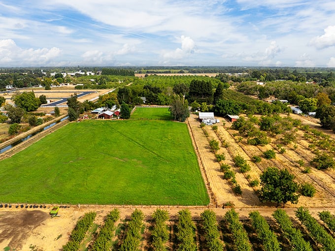 Aerial view of Gridley's agricultural tapestry &ndash; where neat rows of crops remind you that farm-to-table isn't a trend, it's Tuesday.
