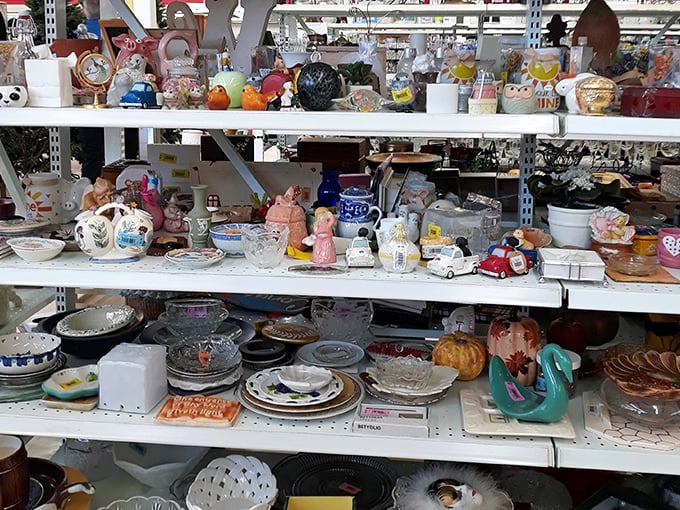 A porcelain menagerie awaits new homes, each figurine telling a story from someone's past while ready to create memories in your future.