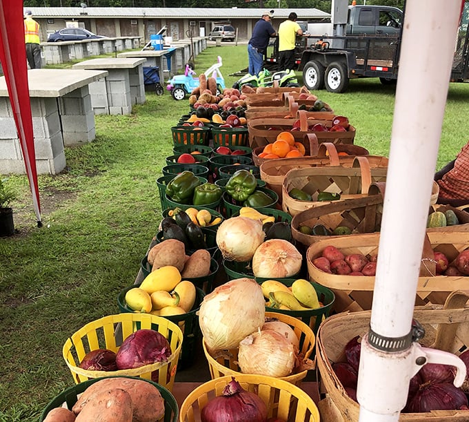 A rainbow of fresh produce arranged with farmer's pride. Those sweet onions and bell peppers are destined for someone's Sunday supper.