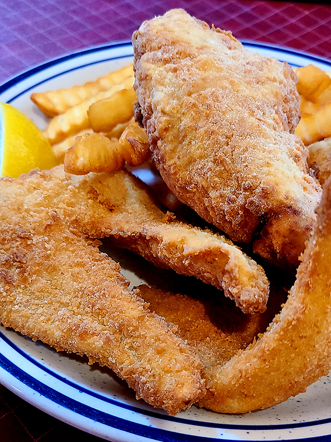 Perch so perfectly fried it shatters like delicate glass, revealing sweet, tender fish that makes you forget all other seafood exists.