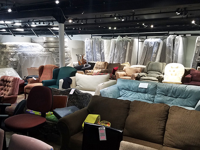 Sofa safari at its finest. That perfect mid-century piece is hiding somewhere in this furniture jungle, just waiting for your living room to rescue it.
