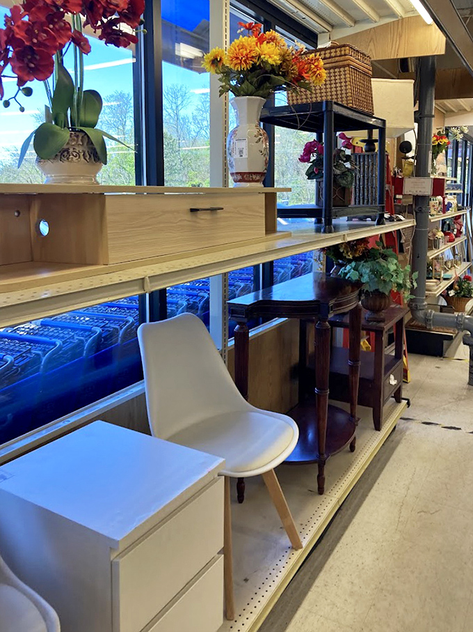 The furniture section showcases everything from mid-century modern chairs to practical side tables, all bathed in natural light.