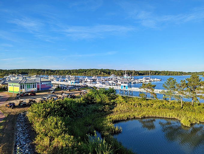 The marina's colorful buildings pop against the blue water like a painter's palette, housing everything from seafood shacks to charter operations.