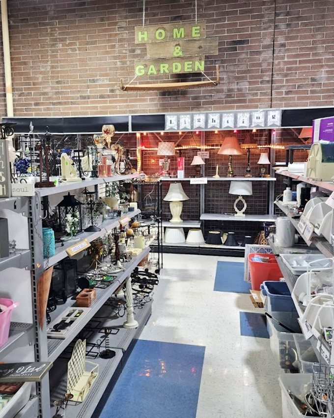 The Home & Garden section: where lamps of all personalities line up like contestants in a beauty pageant of illumination.