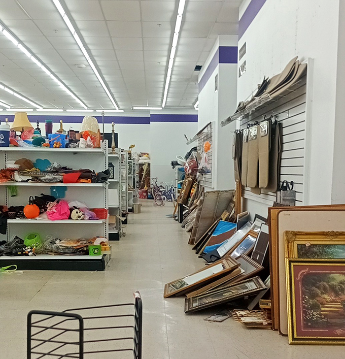 The art and decor aisle &ndash; where forgotten paintings and quirky frames lean against each other like old friends at a reunion.