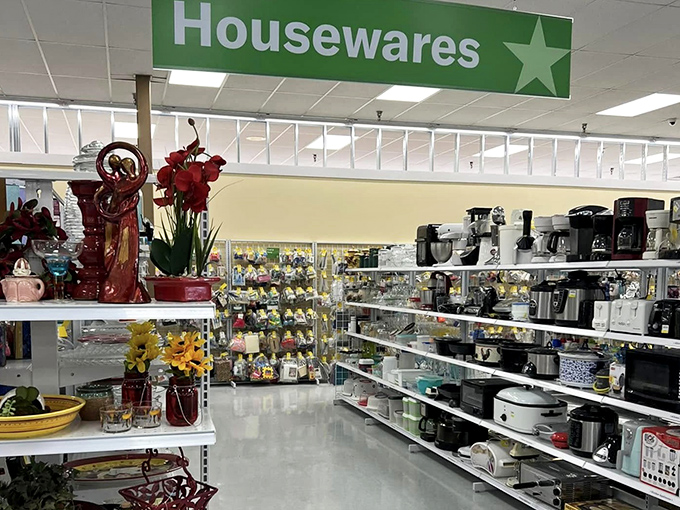 From decorative vases to practical kitchen gadgets, this housewares wonderland makes upgrading your home refreshingly affordable and surprisingly fun.