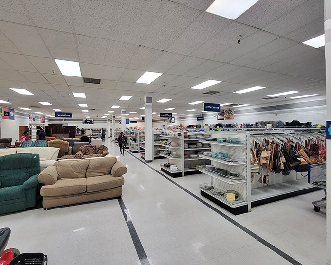 The furniture section offers more seating options than a Broadway theater. That teal loveseat might just be the statement piece your living room has been silently begging for.