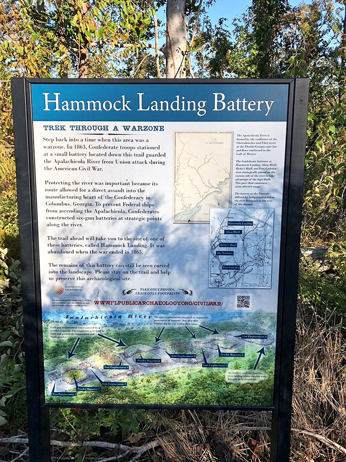 History buffs, rejoice! The Hammock Landing Battery sign reveals Torreya's role during the Civil War—when these peaceful bluffs served as strategic lookouts.