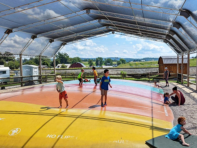 The jumping pillow: where kids bounce with abandon while parents secretly calculate their potential chiropractor bills. Pure, springy joy for all ages.