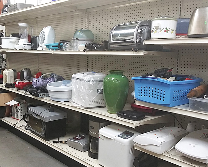 Kitchen appliances stand at attention, from bread makers with ambitious backstories to toaster ovens ready for their comeback tour in a new kitchen.