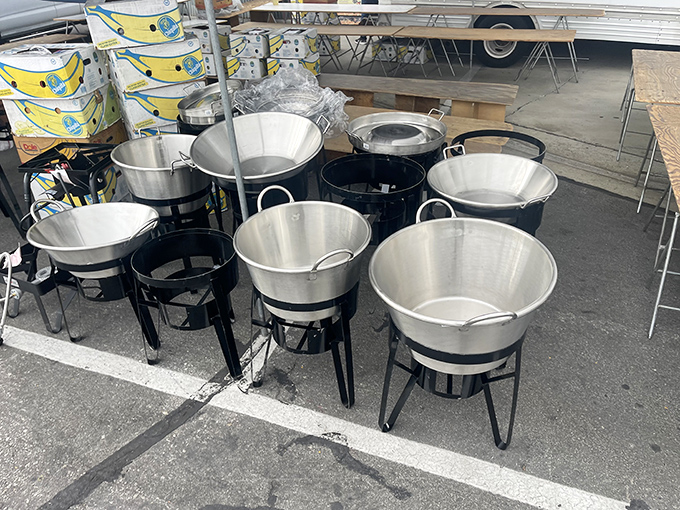 These gleaming cooking vessels aren't just pots&mdash;they're blank canvases for culinary masterpieces, waiting for their chance to transform humble ingredients into feasts.