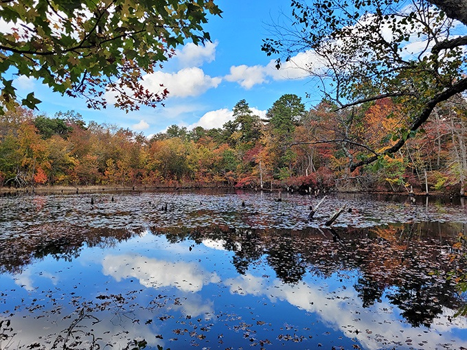 Fall foliage reflected in still waters creates nature's perfect mirror. Even the clouds seem to be admiring themselves in this tranquil scene.