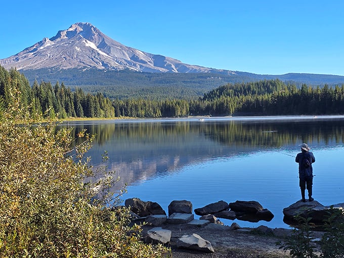 Not a painting, just Tuesday in Oregon. Mount Hood reflects in crystal waters while a lone figure contemplates nature's perfect symmetry.