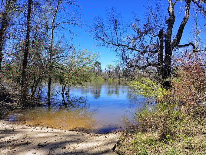 Reflections in still water create nature's mirror. This serene spot along the park's waterways offers a moment of tranquility and perhaps a bass or two.