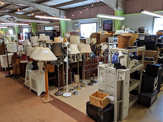 The lamp section&mdash;where lighting fixtures of every era gather like attendees at the world's most illuminating high school reunion.