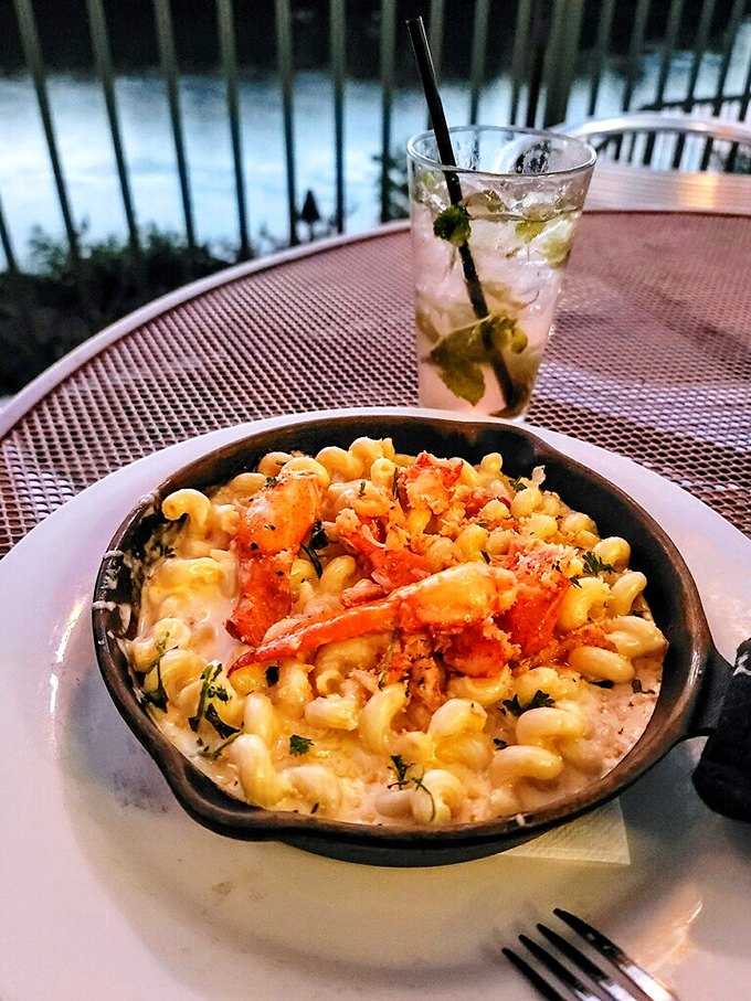 Lobster mac and cheese that makes you wonder why anyone bothers with the regular version. Comfort food gets its PhD.