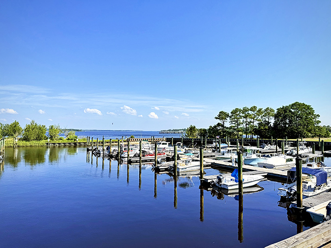 Not just parking spots for boats, but gateways to adventure. The marina offers a perfect launching point for Cape Fear River explorations.