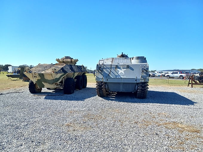 The military museum showcases history without the tourist-trap prices. In Abbeville, even educational outings keep your retirement budget intact.
