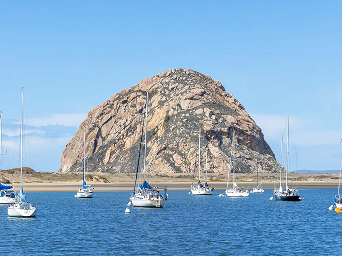Morro Rock isn't just photogenic&mdash;it's the supermodel of geological formations, posing majestically against the blue California sky.